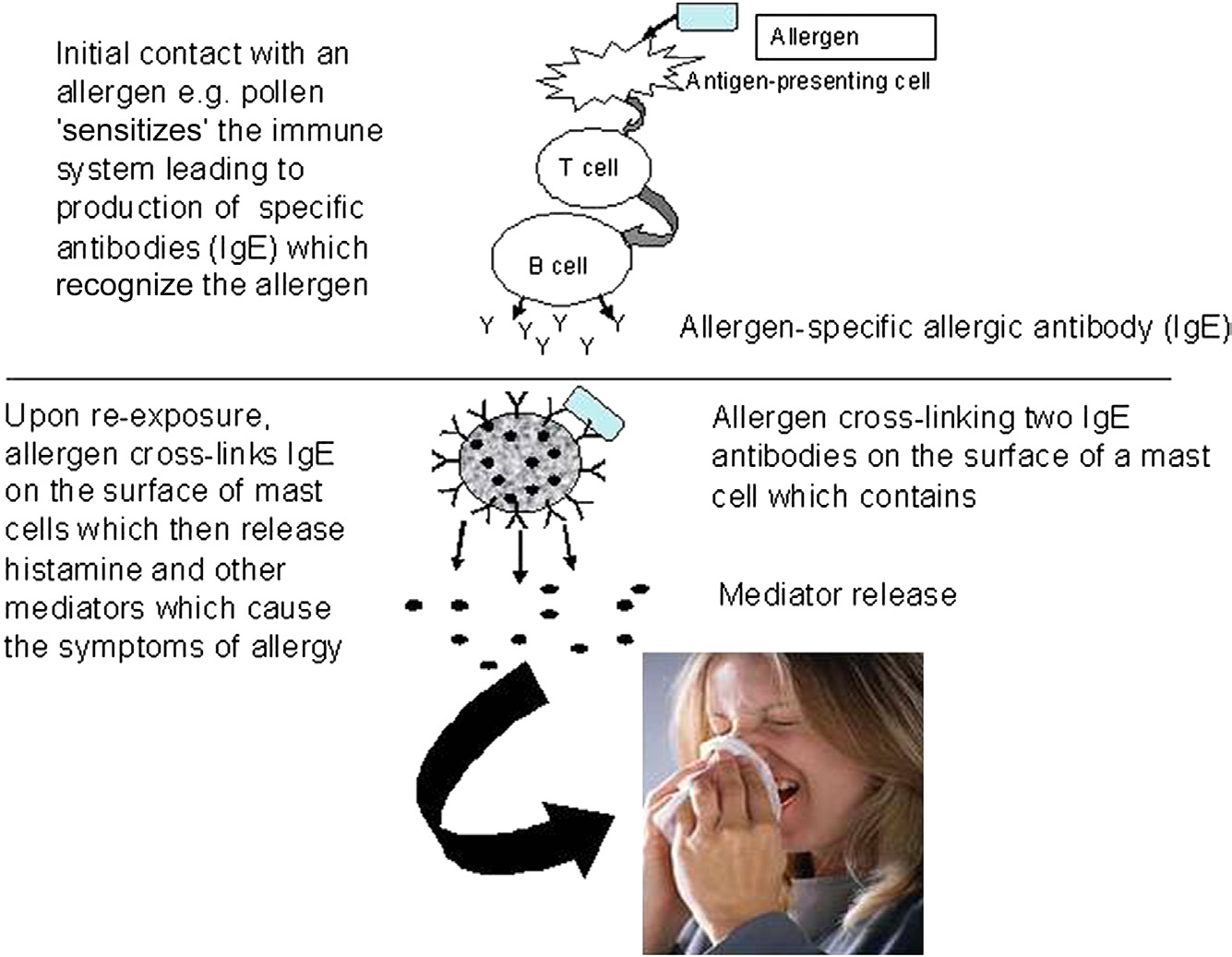 Food safety and Allergen Management | BRSM